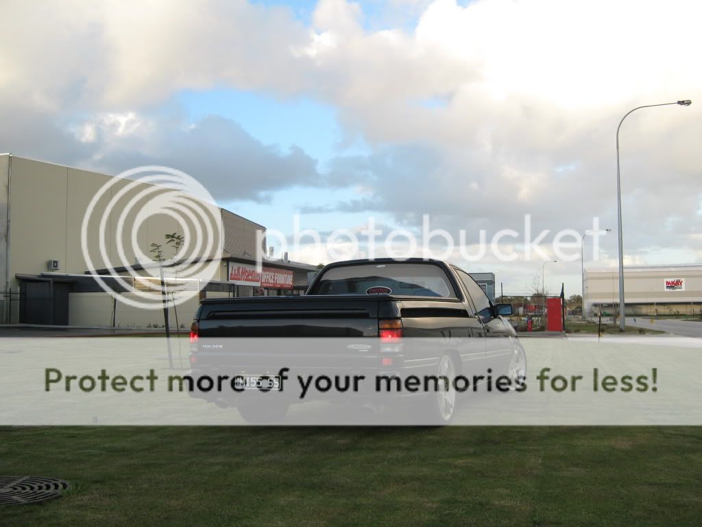 Vp senator | Just Commodores