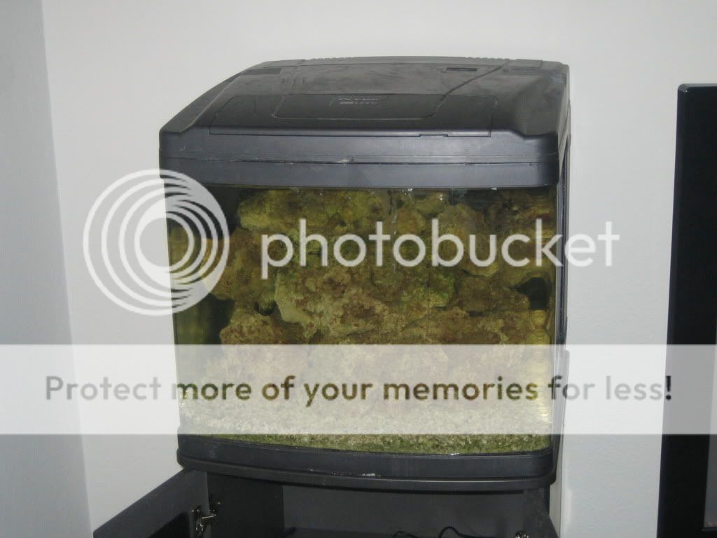 my modified 29G bio-cube | Michigan Reefers