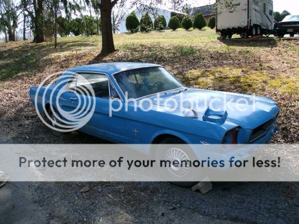 Ford T-5, German Export Mustang Content| Builds and Project Cars forum