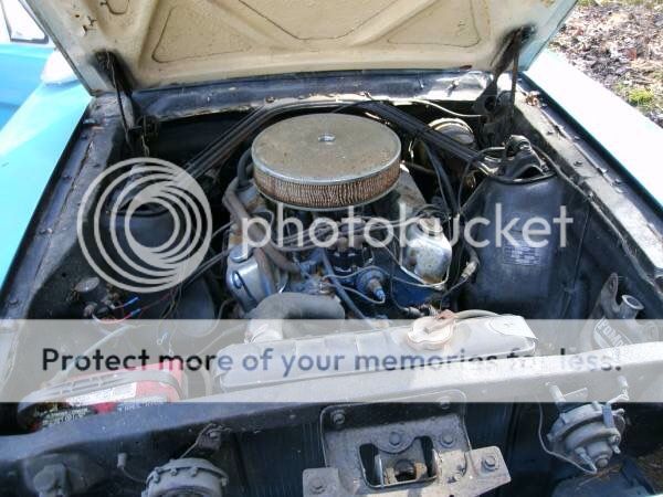 Ford T-5, German Export Mustang Content| Builds and Project Cars forum