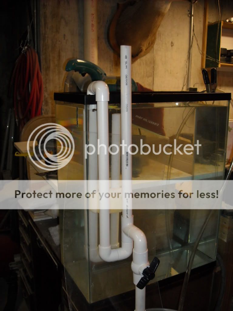pvc overflow? | Tropical Fish Keeping